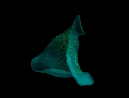 Digital Brain CEBSIT(ION)