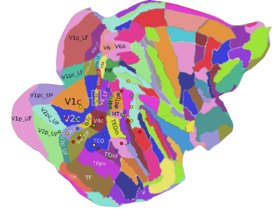 Digital Brain CEBSIT(ION)